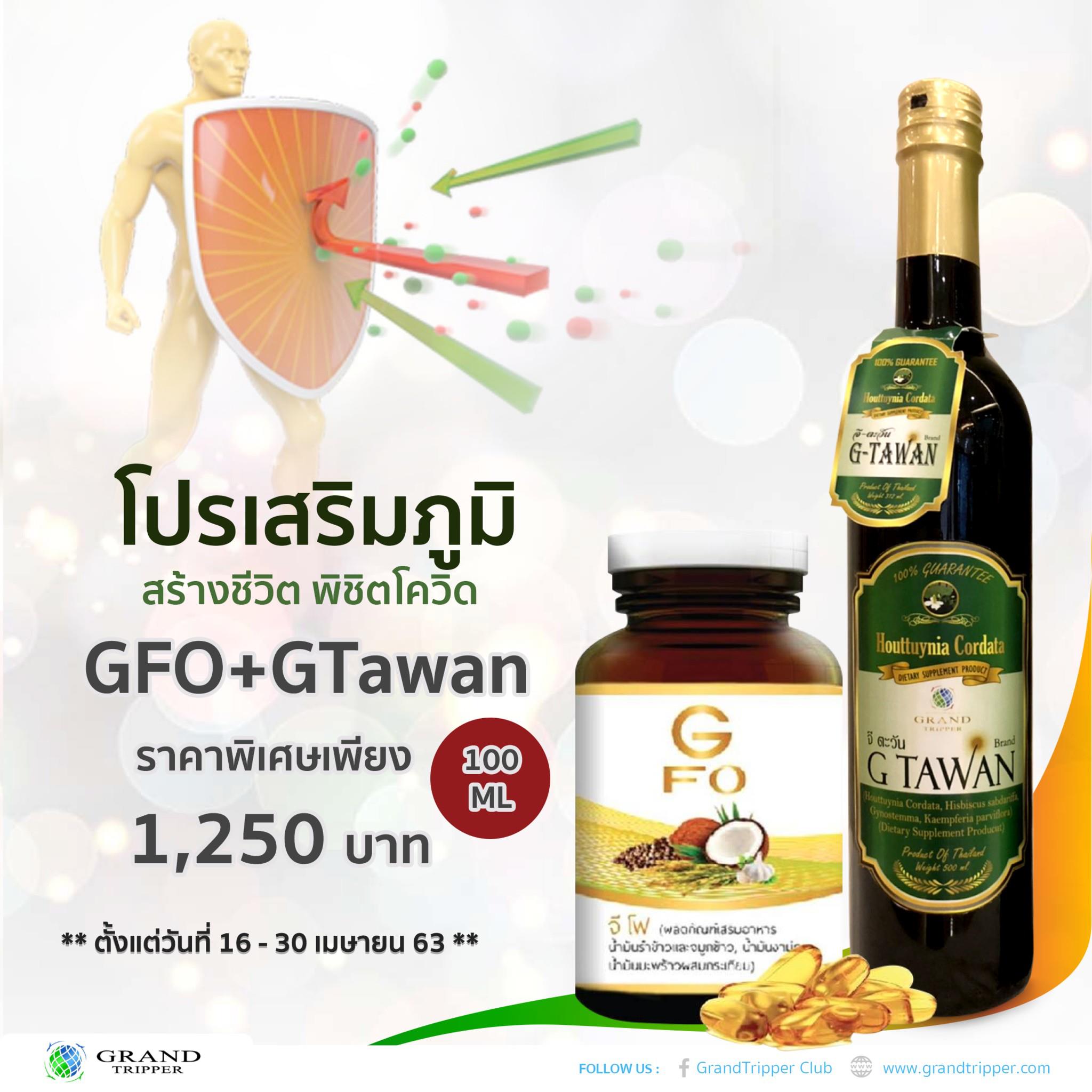 GTP-Grand Tripper Thailand
